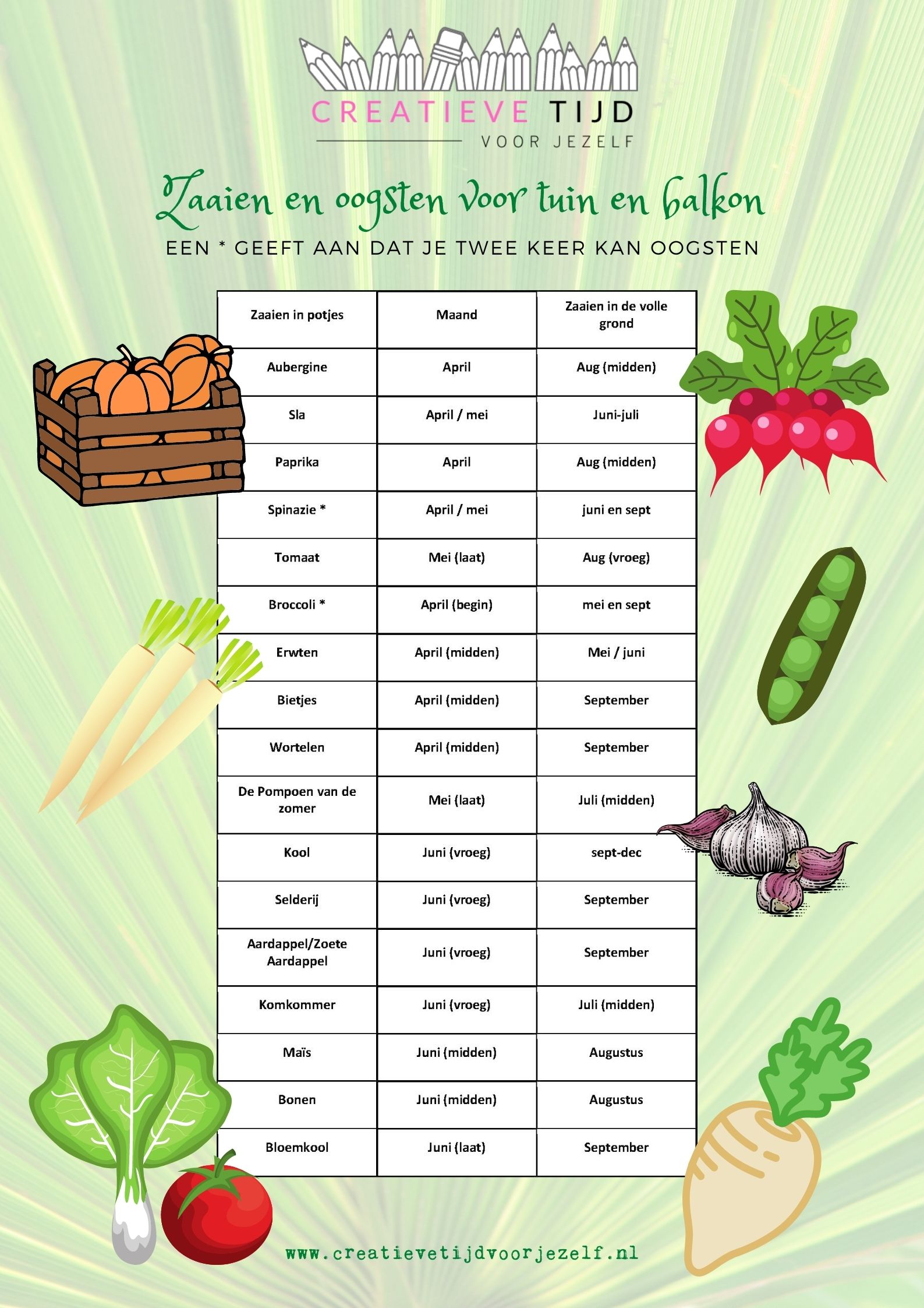 Tips voor een eigen groentetuin: 5 maal meer succes! - Creatieve tijd ...